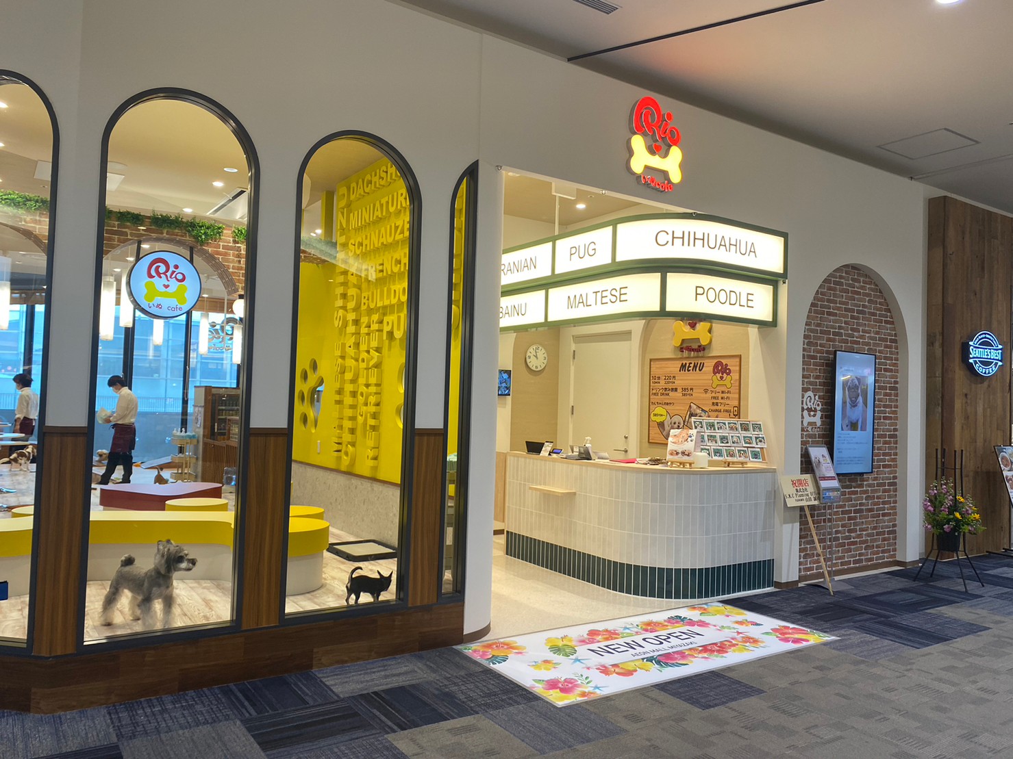 原宿店 – いぬカフェRio