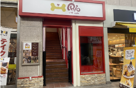 いぬカフェRio – わんちゃんと触れ合える♪